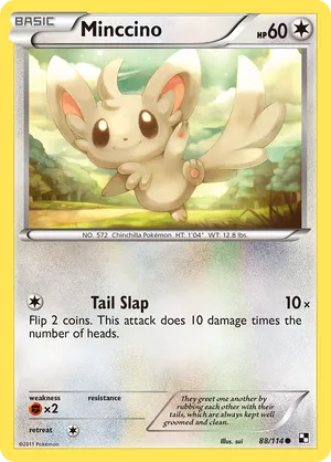 Minccino | Pokémon Cards and Details | pkmn.gg