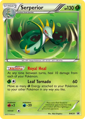 Serperior | Pokémon Cards and Details | pkmn.gg