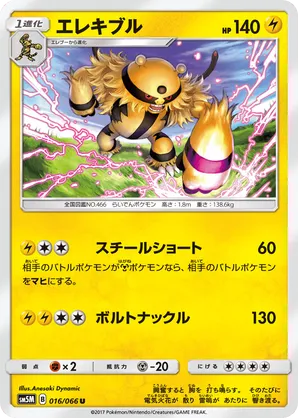 electivire fsg