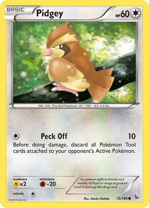 Pidgey | Pokémon Cards and Details | pkmn.gg